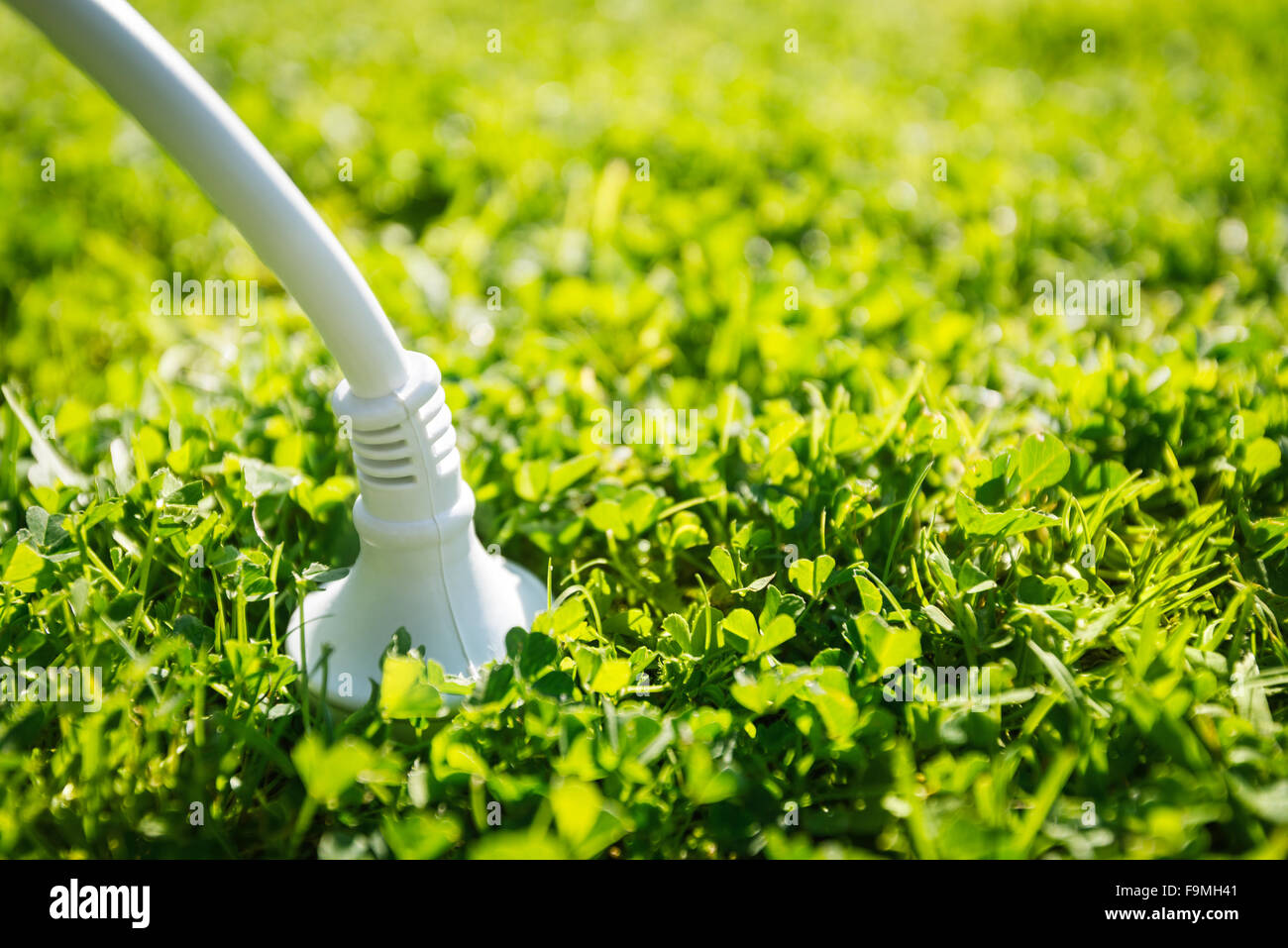 Power plug connected to the green source of energy Stock Photo - Alamy