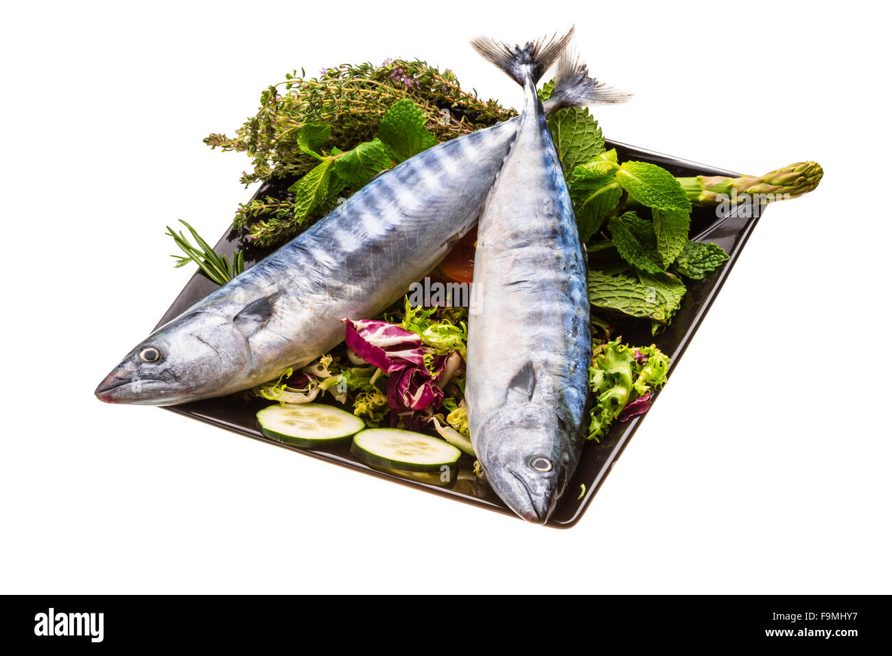 Atlanticmackerel hi-res stock photography and images - Alamy