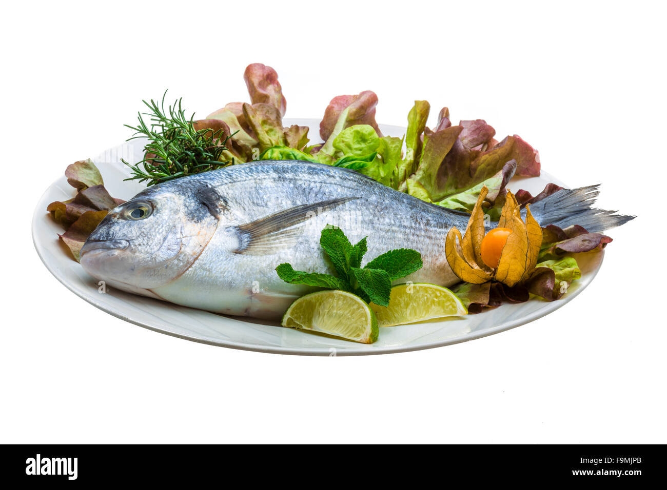 Fresh raw dorada Stock Photo - Alamy
