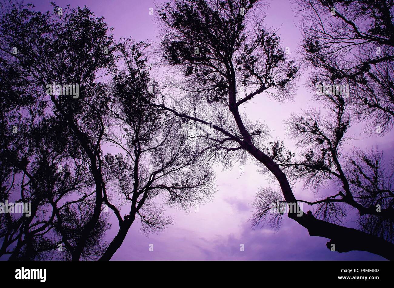 Lavender sky clouds hi-res stock photography and images - Alamy