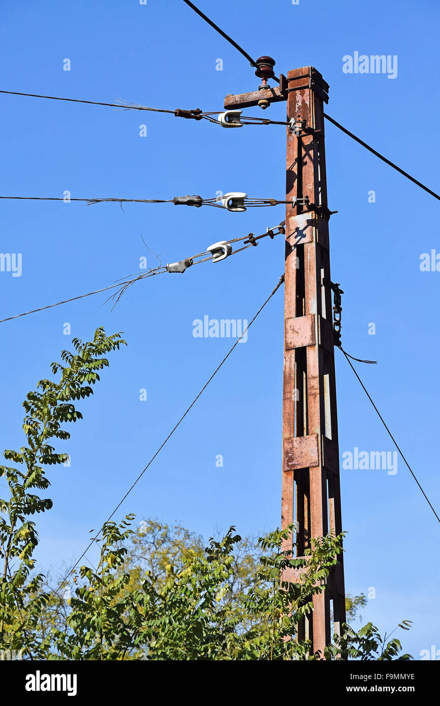 Electricity pylon next to a tree Stock Photo - Alamy