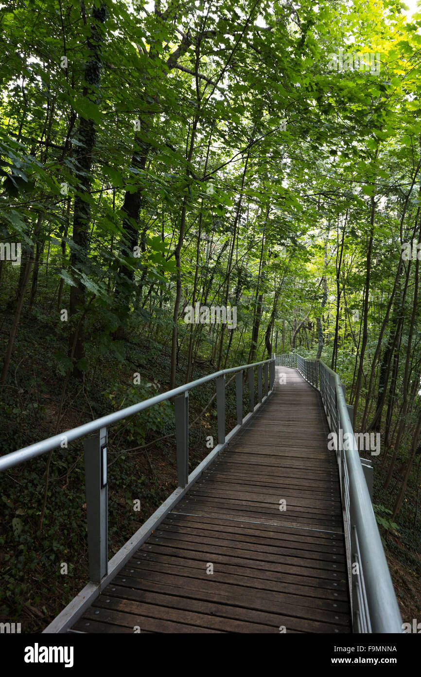 Wooden walkway through trees hi-res stock photography and images - Alamy