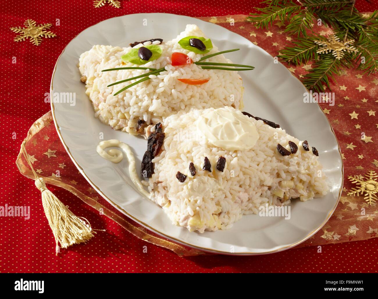 Cat salad hi-res stock photography and images - Alamy