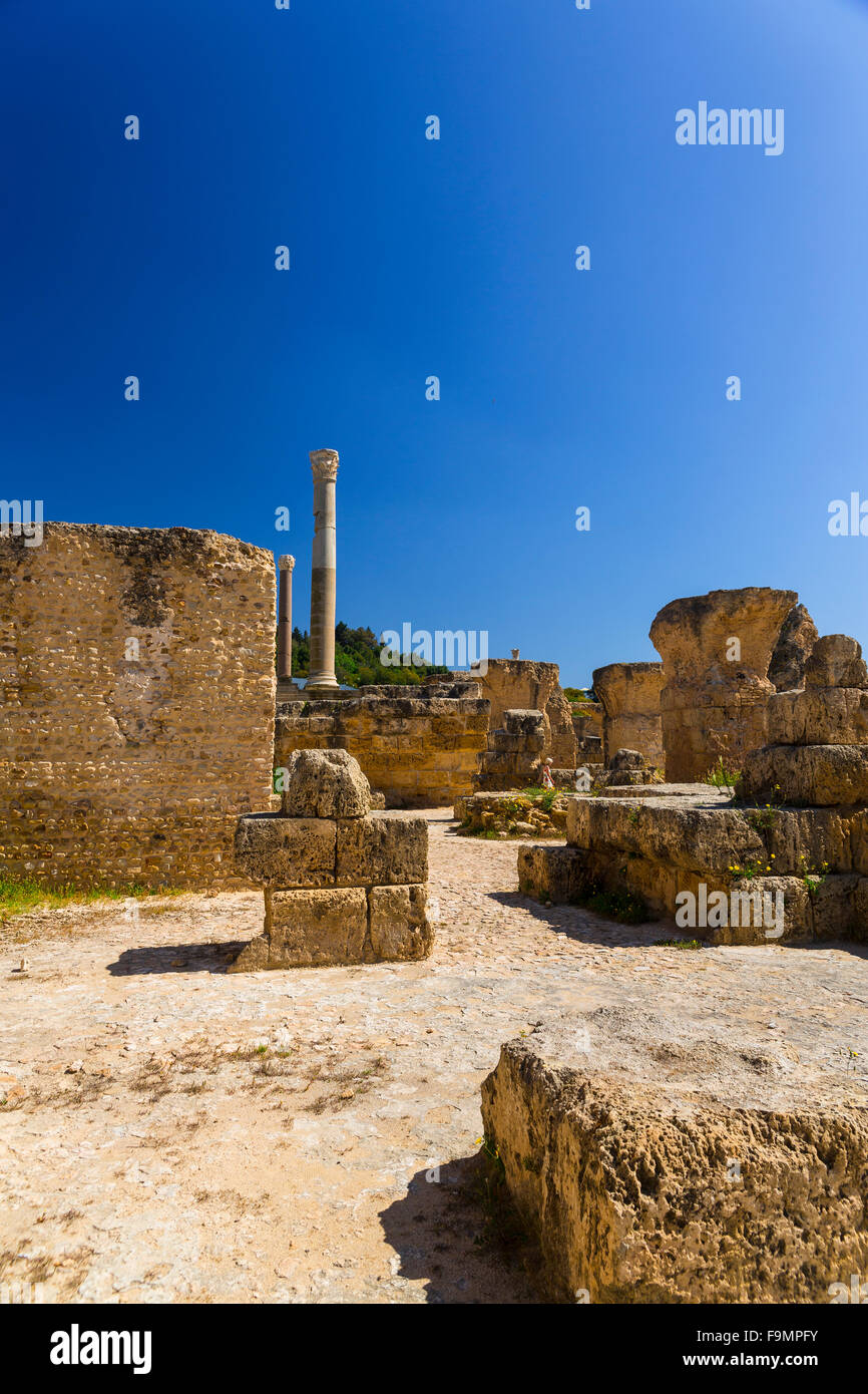 Old Carthage ruins in Tunisia Stock Photo - Alamy