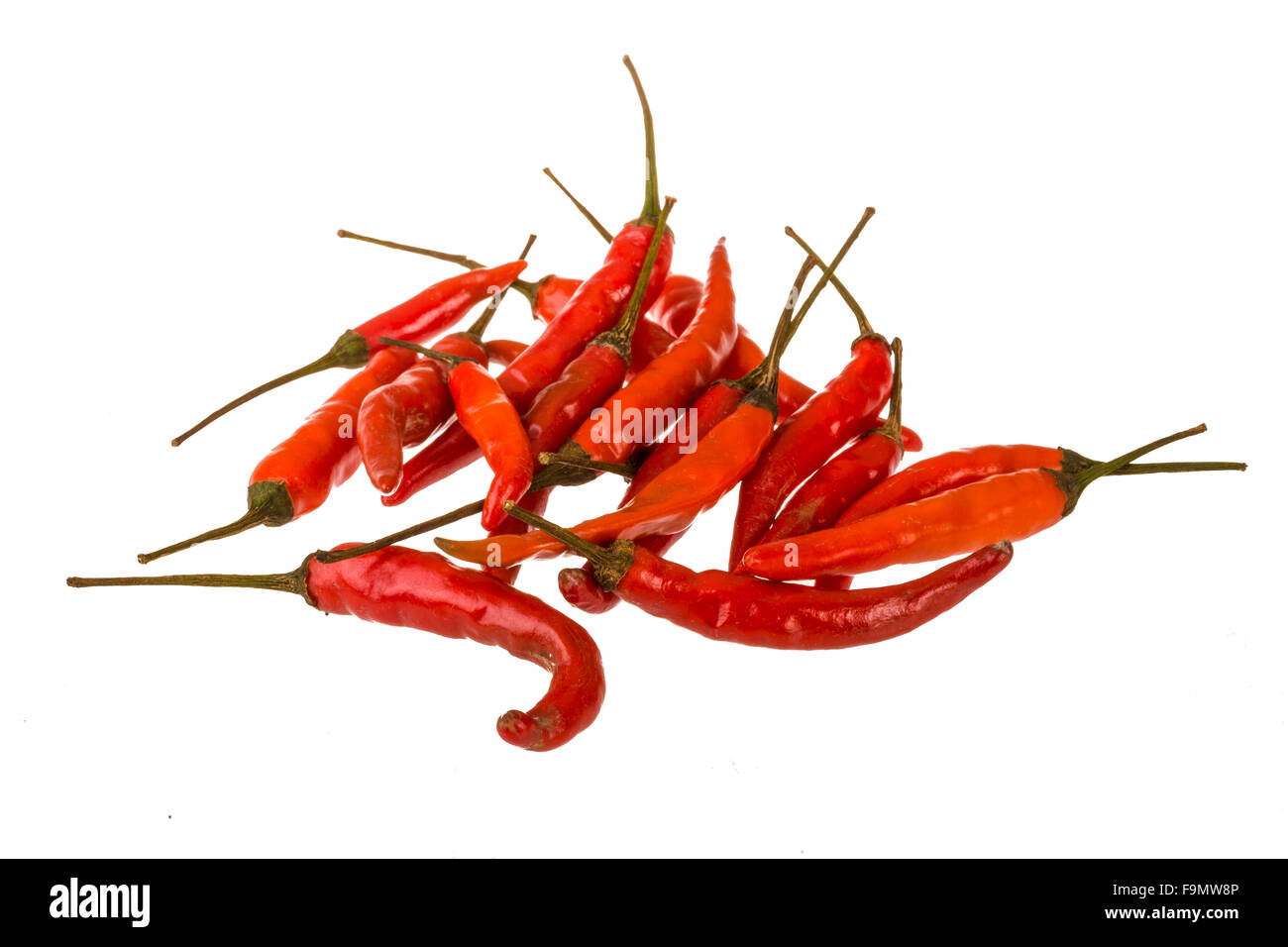 Red chilli pepper - Red Bird Stock Photo - Alamy