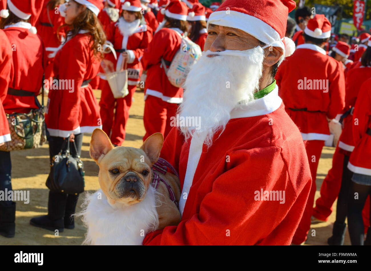 A man dressed as Santa Claus, holding a dog Stock Photo - Alamy