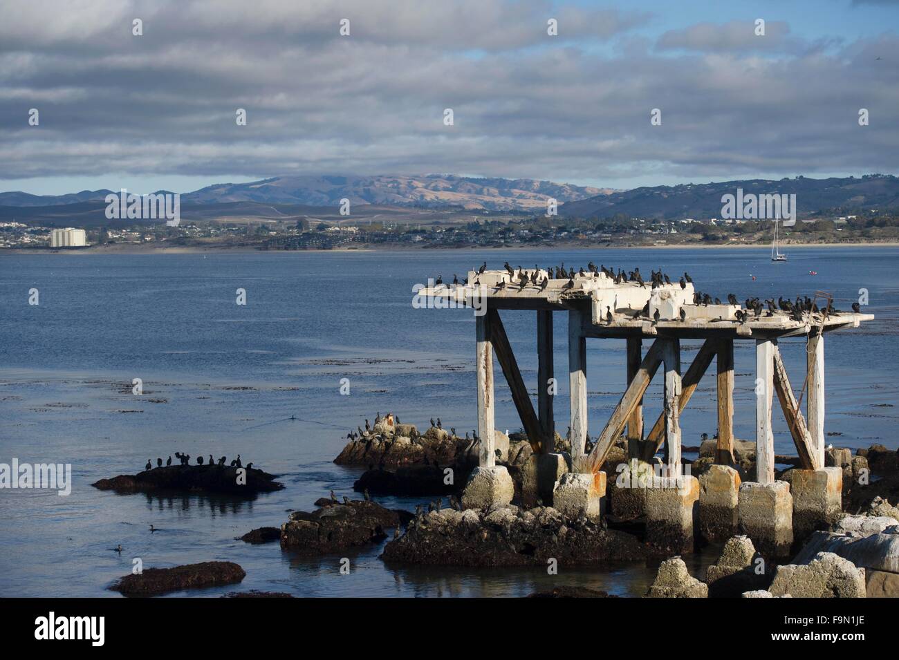 17th mile drive hi-res stock photography and images - Alamy