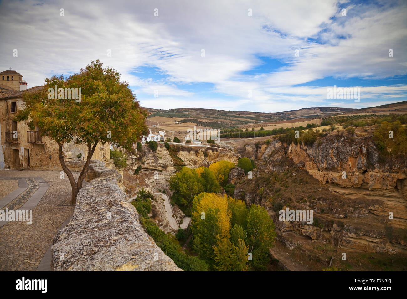 Elm Trees in Autumn in The Tajo or Canyon below Alhama de Granada ...