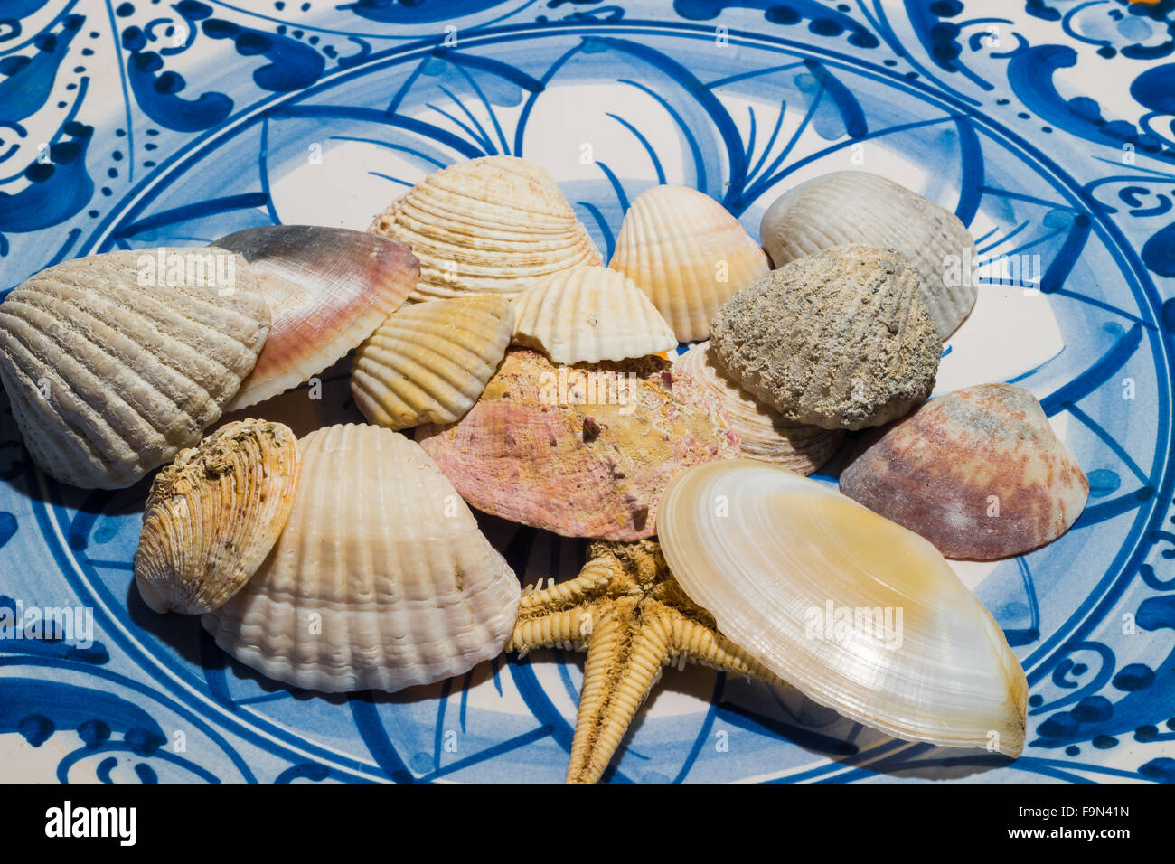 shells of different sizes on the ceramic plate Stock Photo - Alamy