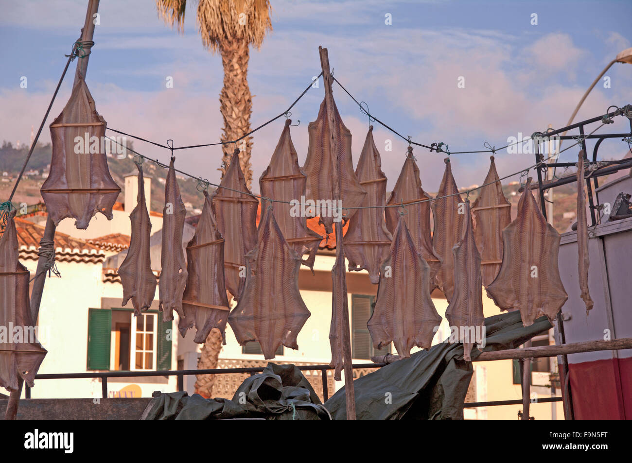 In front of camara hi-res stock photography and images - Alamy