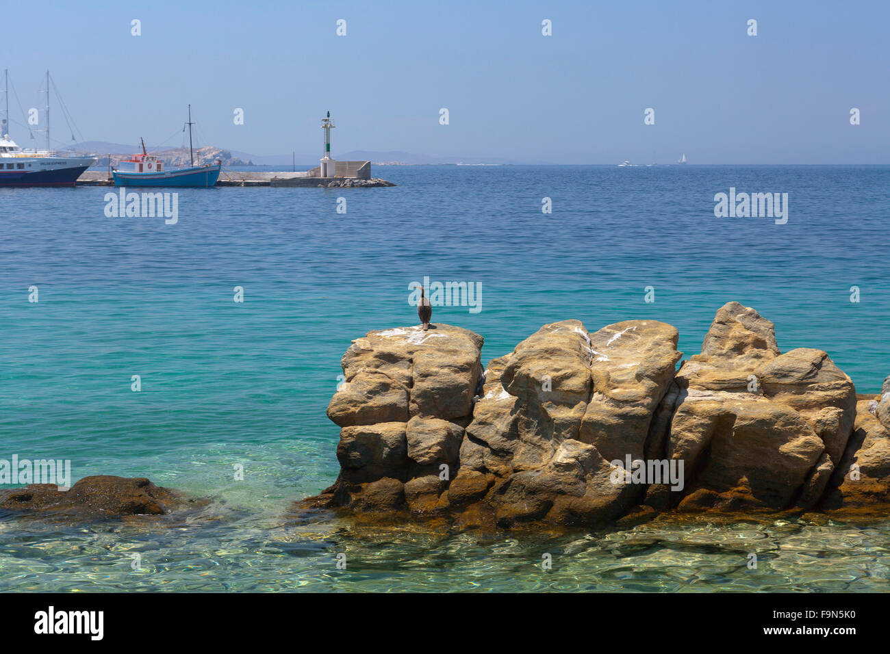 Bay and cormorant at Chora, Mykonos Stock Photo - Alamy