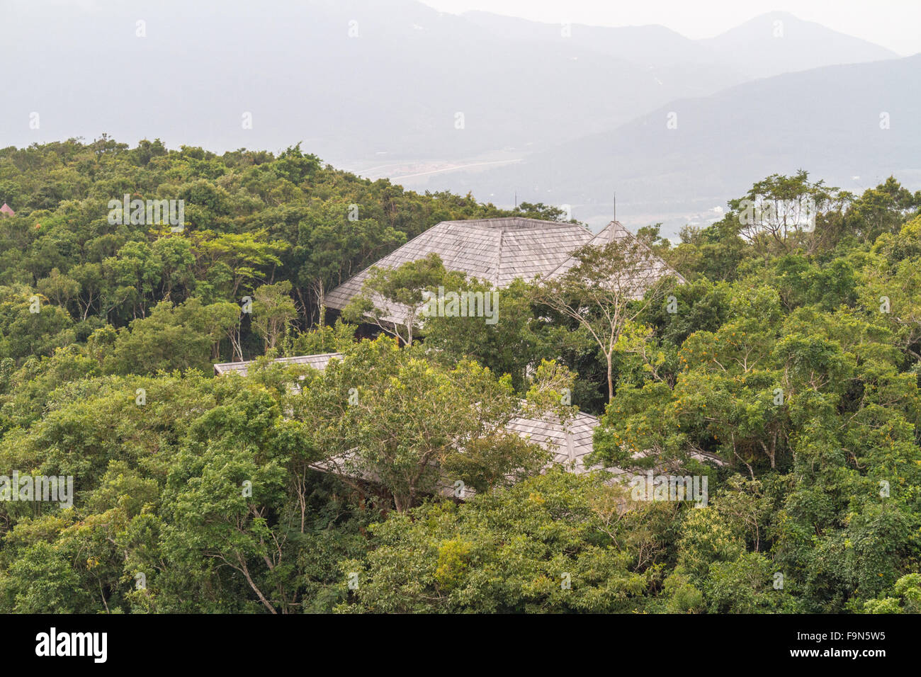 Chinese jungle, island of Hainan Stock Photo - Alamy