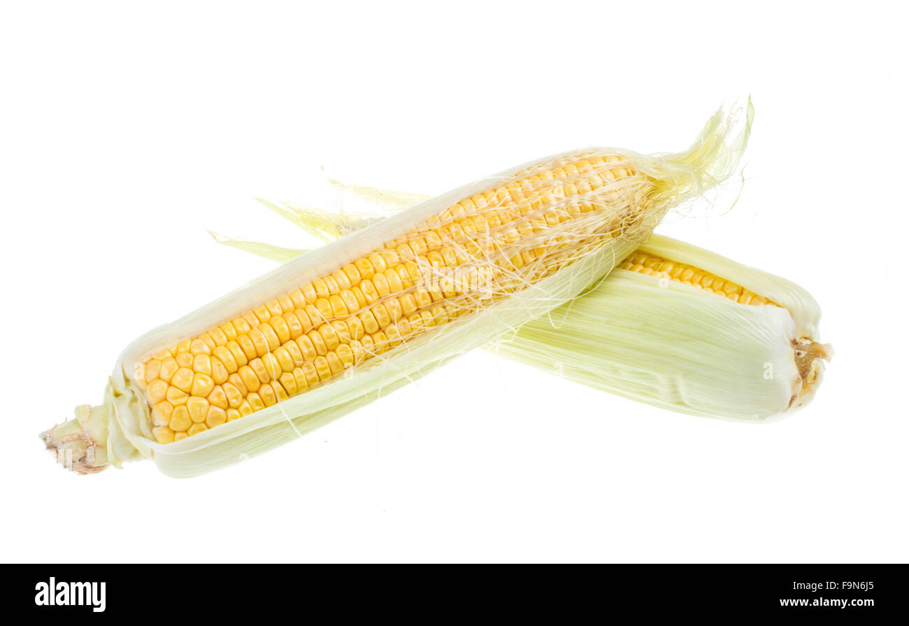 Fresh raw corn cob isolated on the white Stock Photo - Alamy