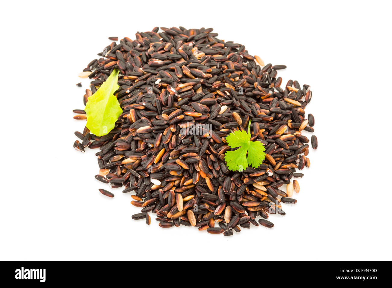 Black glutinous rice isolated Stock Photo - Alamy