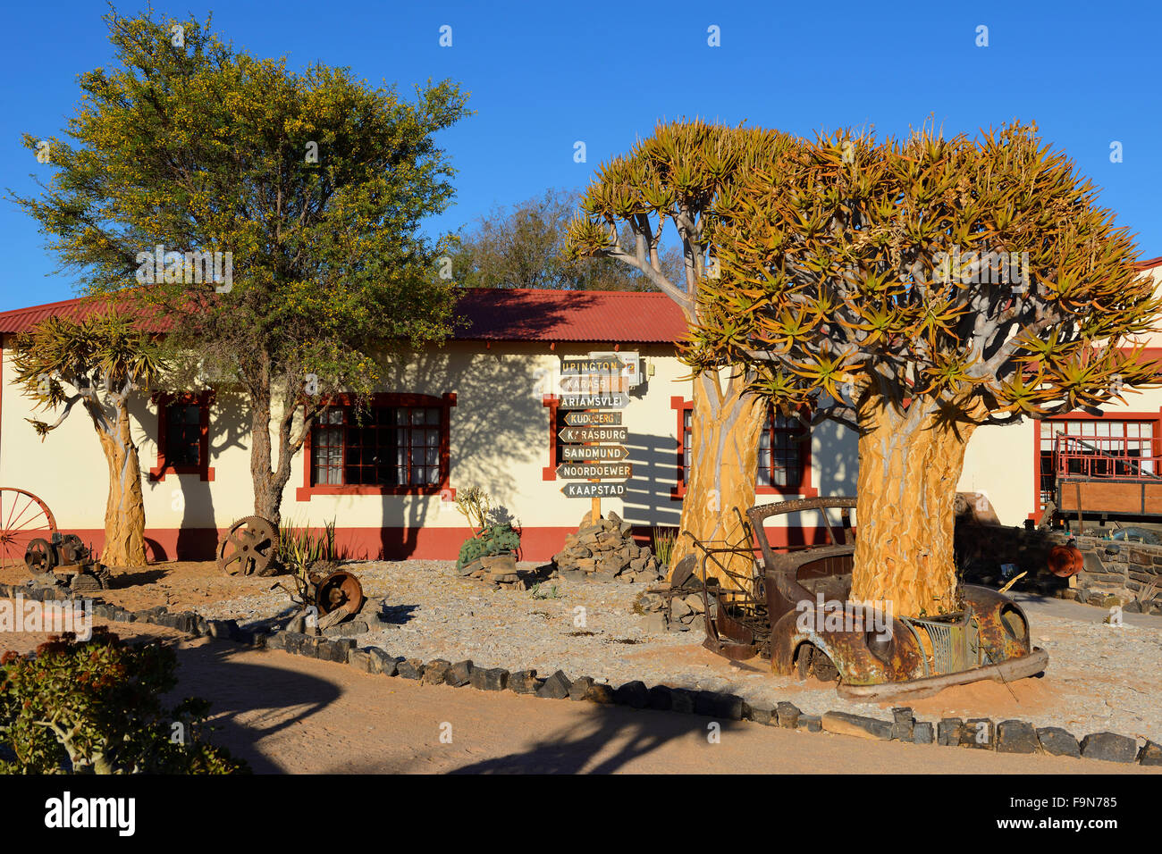 Quiver trees at Canyon Roadhouse near Fish River Canyon, Namibia Stock ...