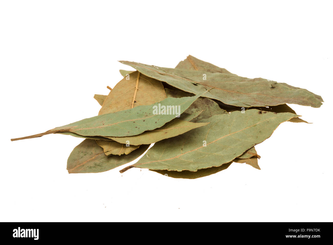 Laurel leaves isolated Stock Photo - Alamy