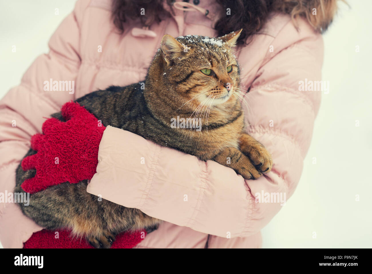 Cat in female hands outdoors Stock Photo - Alamy