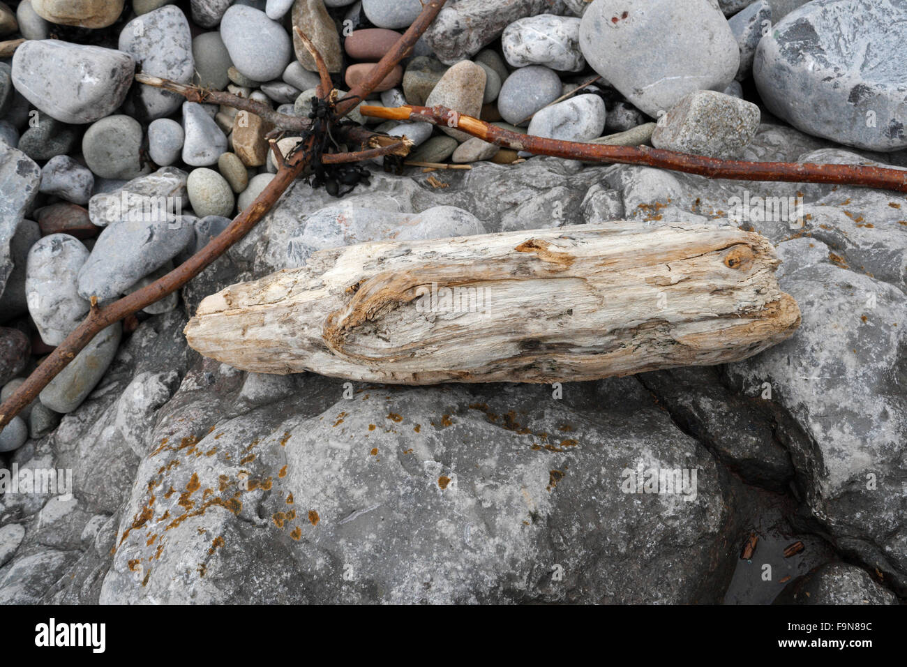 Drift wood washed up on shore Stock Photo - Alamy