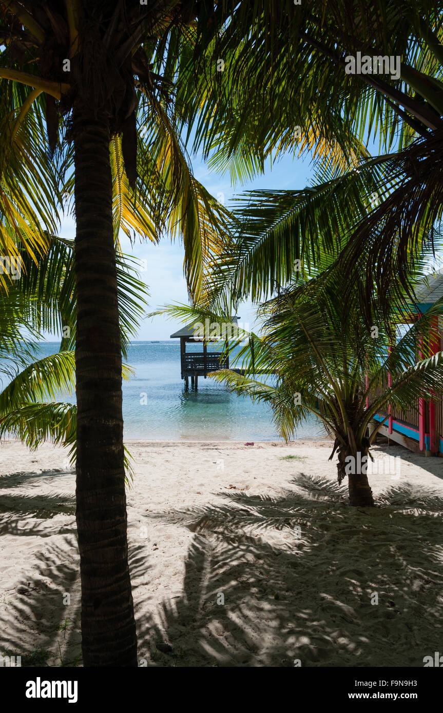 Bright green beach hut hi-res stock photography and images - Alamy