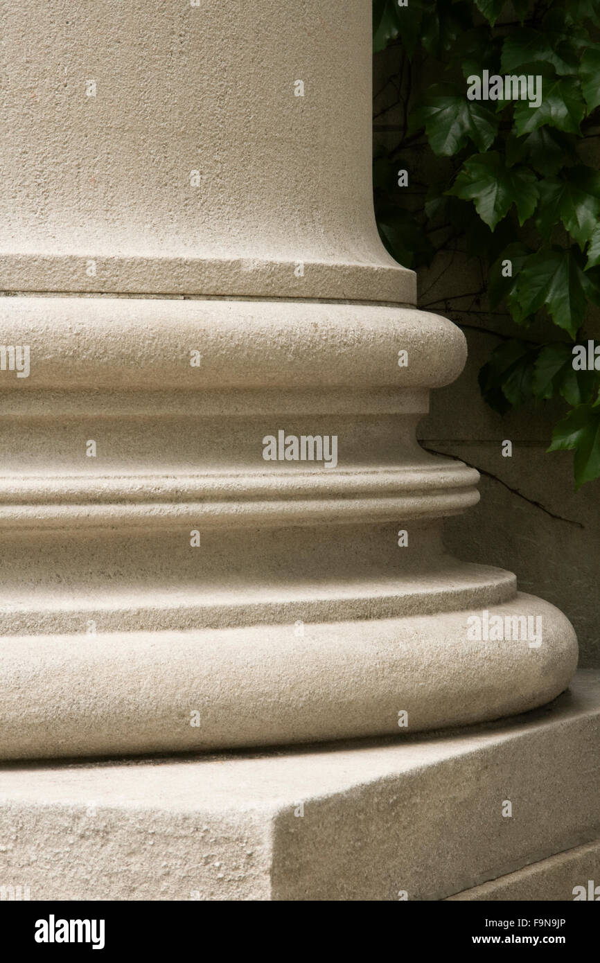 Column base with ivy Stock Photo - Alamy