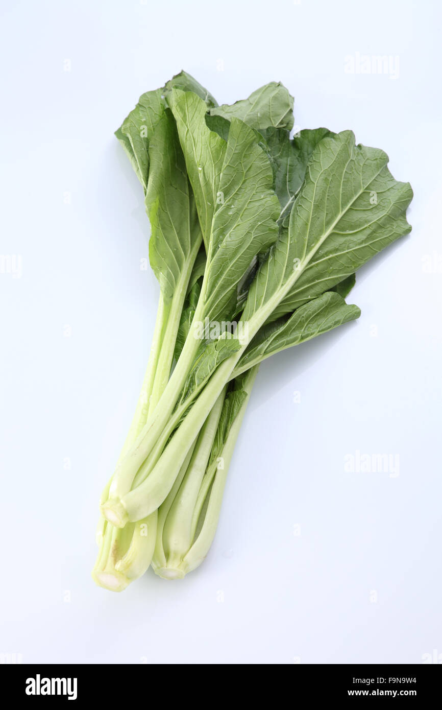 choy sum vegetable on the white background Stock Photo - Alamy