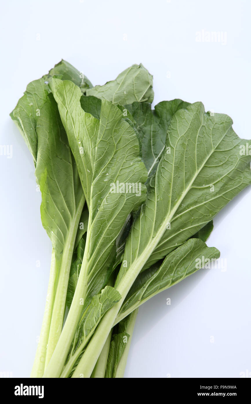 choy sum vegetable on the white background Stock Photo - Alamy