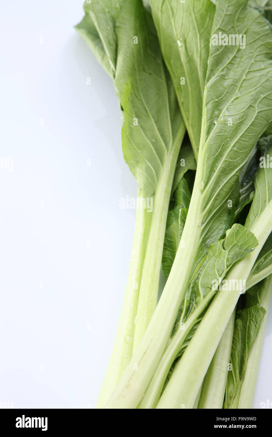 choy sum vegetable on the white background Stock Photo - Alamy choy sum vegetable on the white background Stock Photo - Alamy