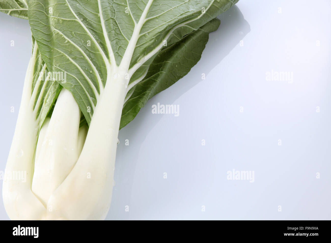 pak choy (chinese cabbage) isolated on white Stock Photo - Alamy