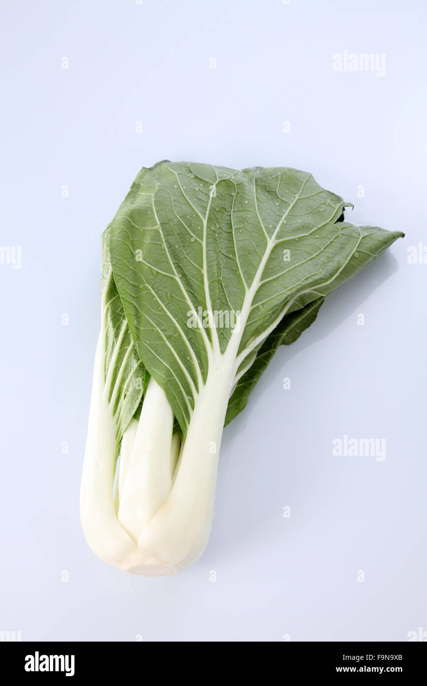 pak choy (chinese cabbage) isolated on white Stock Photo - Alamy