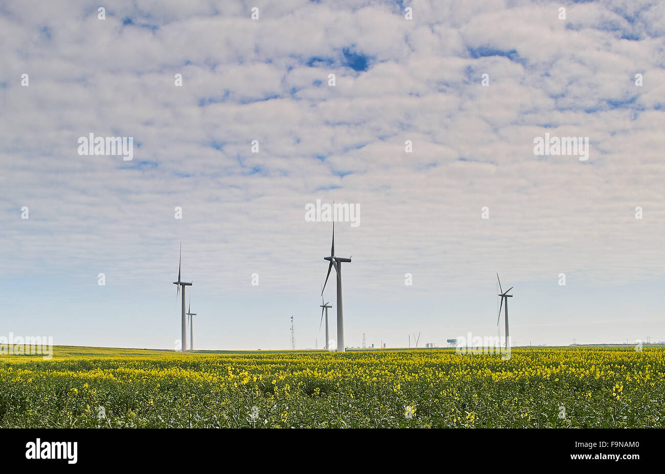 Land farmland country hi-res stock photography and images - Alamy