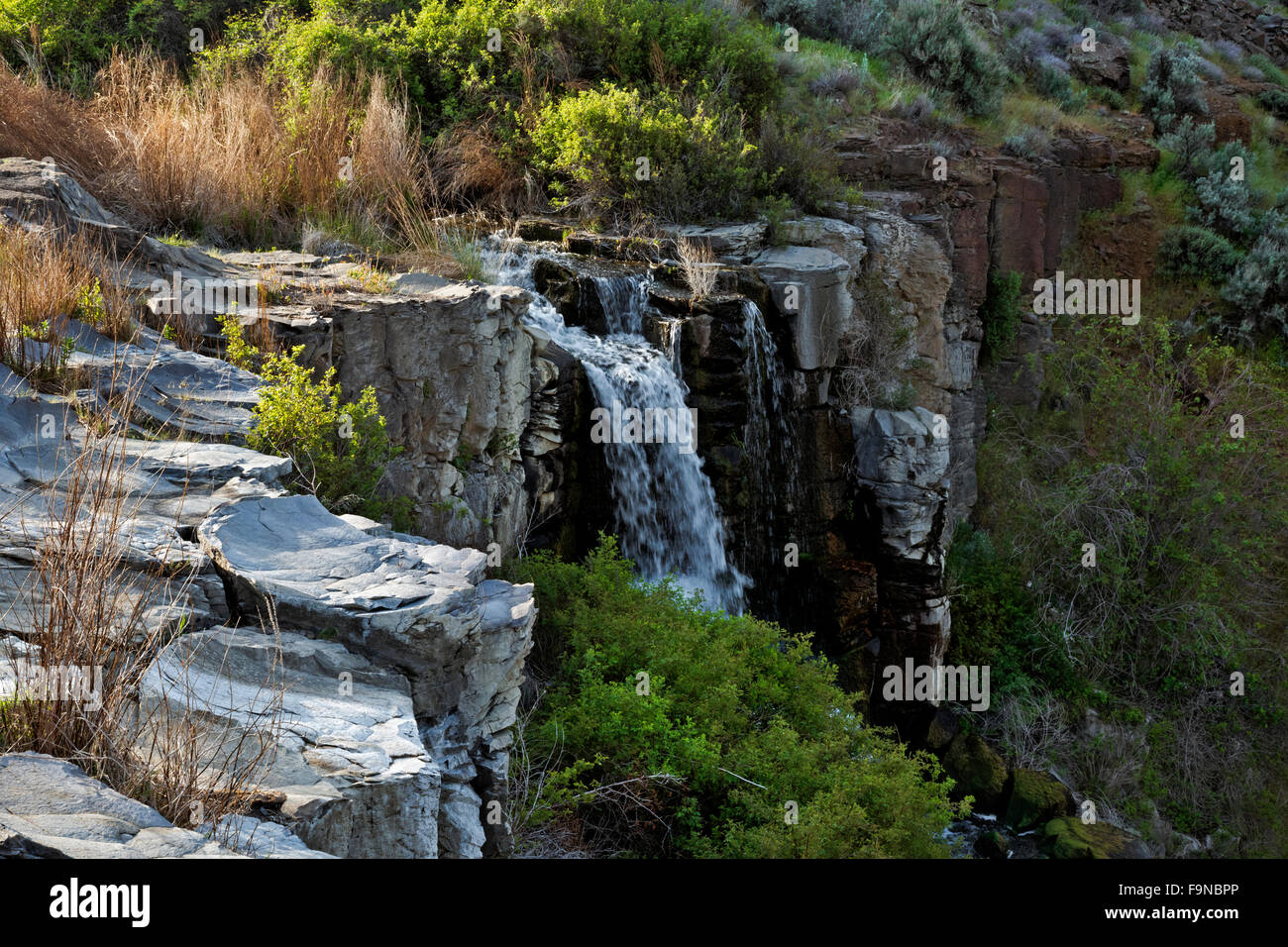 WASHINGTON - Sandstone among the columnar basalt of the bluffs and ...