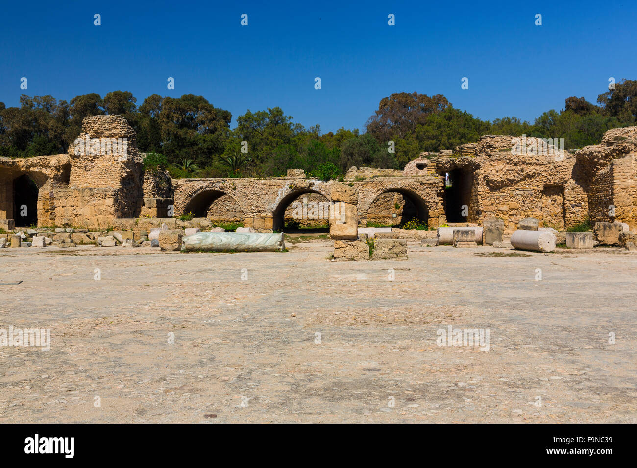 Old Carthage ruins in Tunisia Stock Photo - Alamy