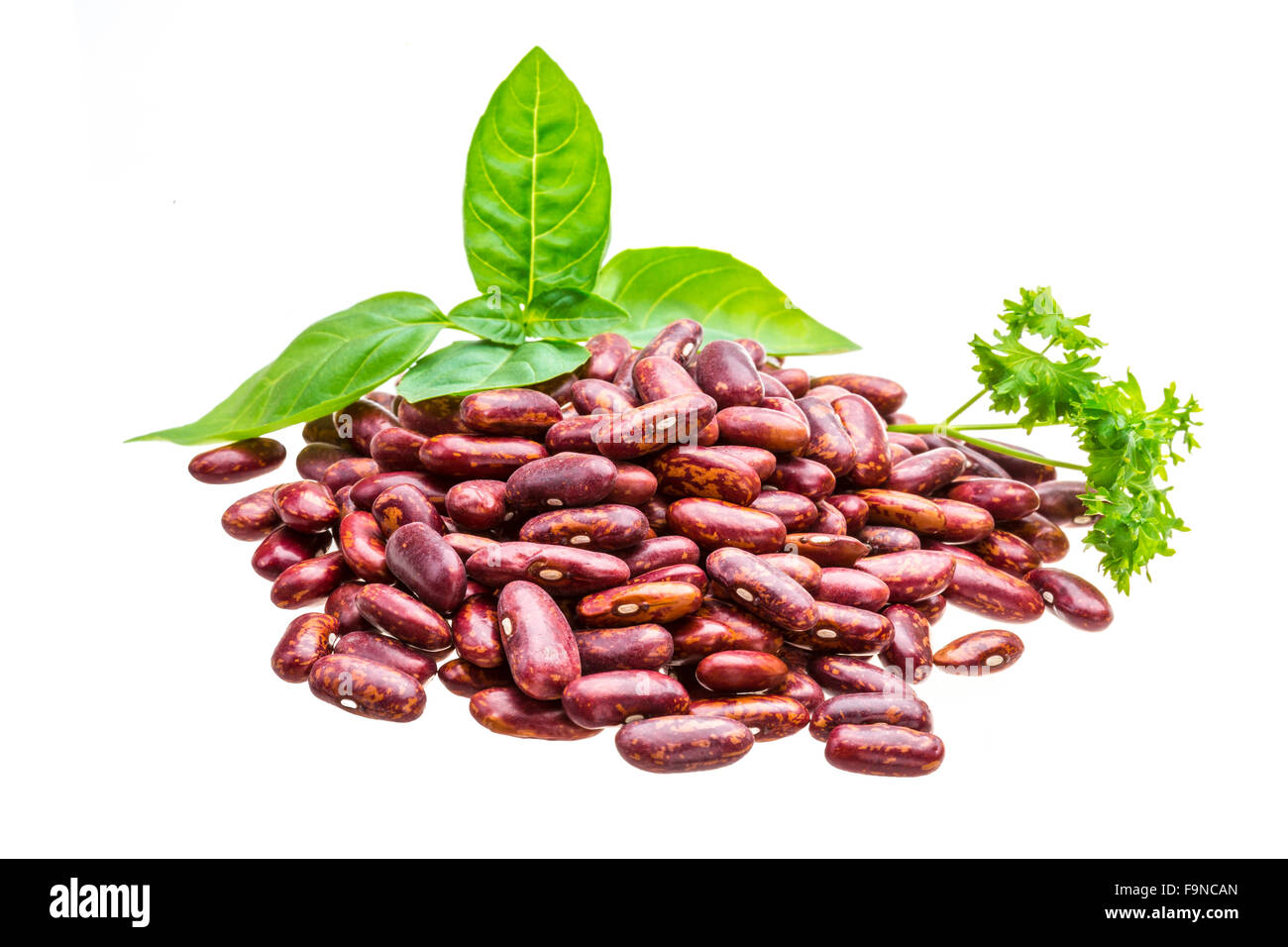 Red ripe beans isolated studio macro Stock Photo - Alamy