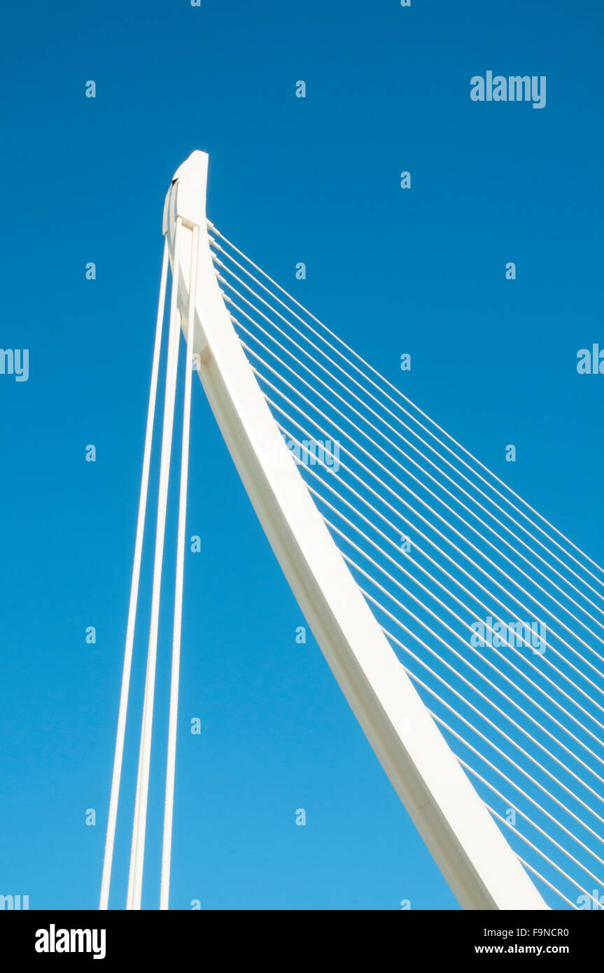 L'Assut d'Or bridge, by Santiago Calatrava. City of Arts and Sciences ...