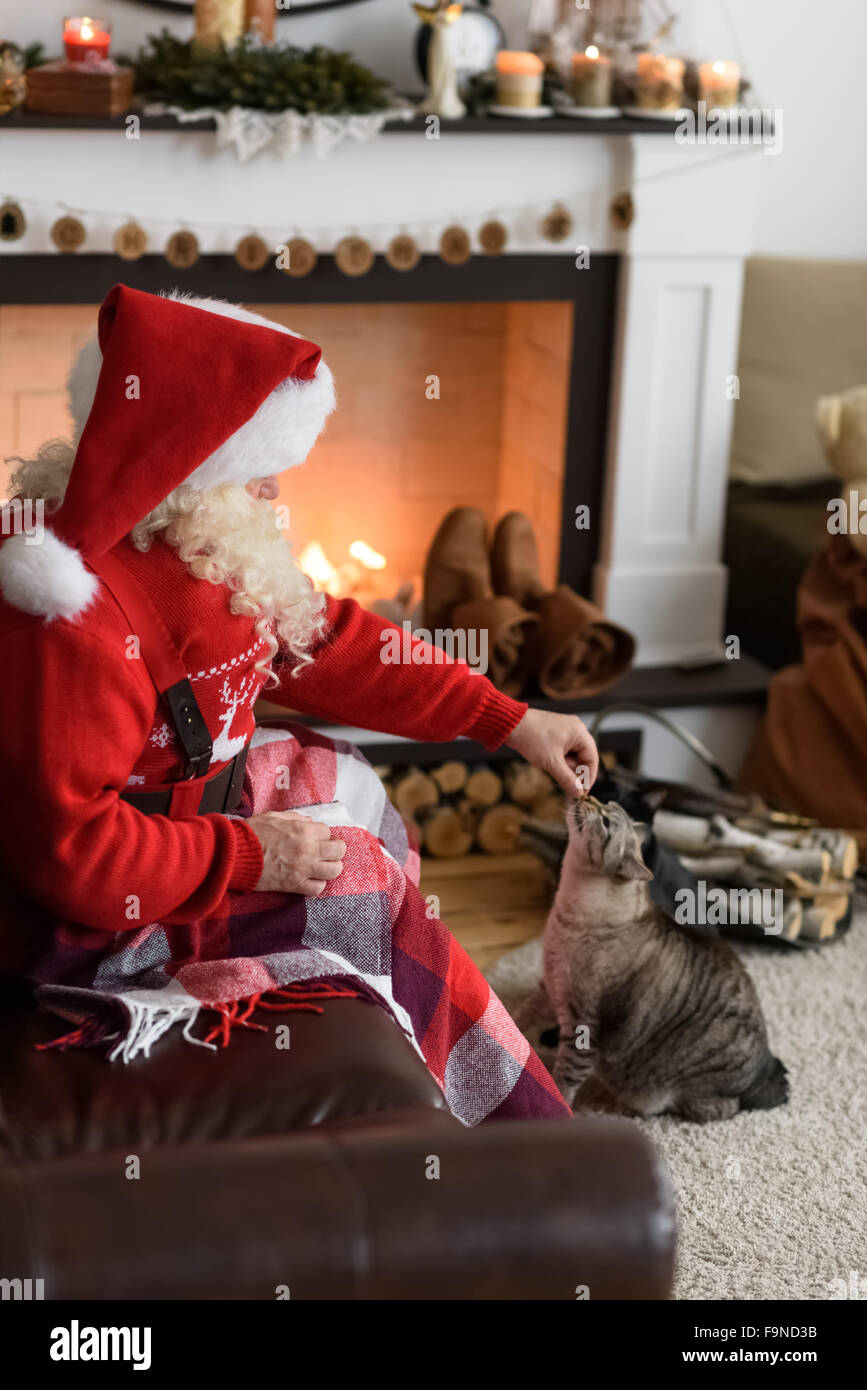 Santa Claus Warming Feeding his Cat at Home Stock Photo - Alamy