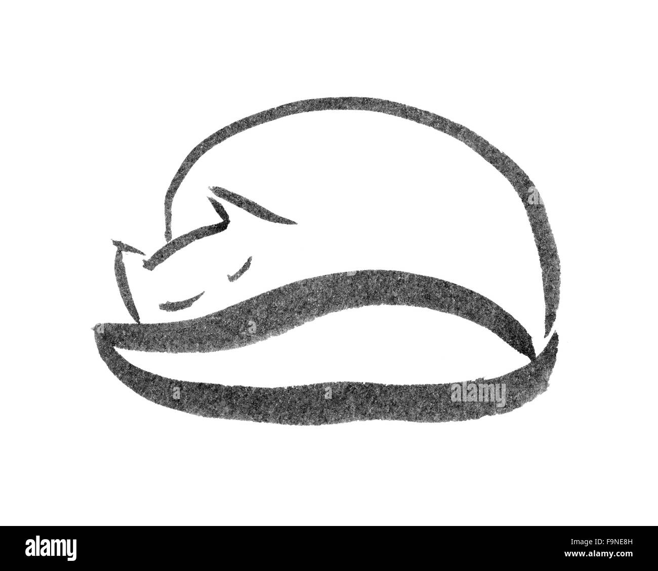 Black white picture cat Black and White Stock Photos & Images - Alamy