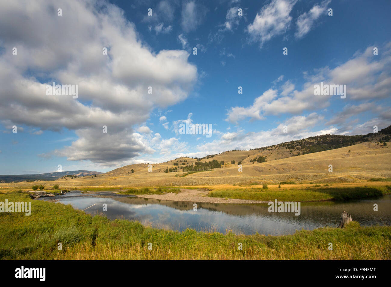 Lamar River and valley of open forest and sagebrush scrubland on ...