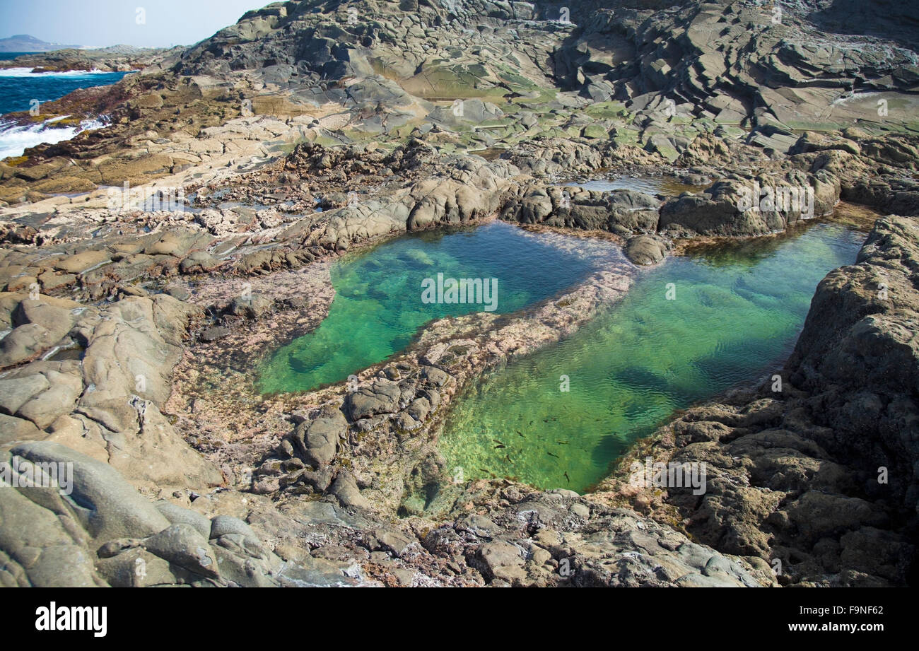Gran Canaria, Banaderos area, calm rock pools, ocean at low tide Stock ...