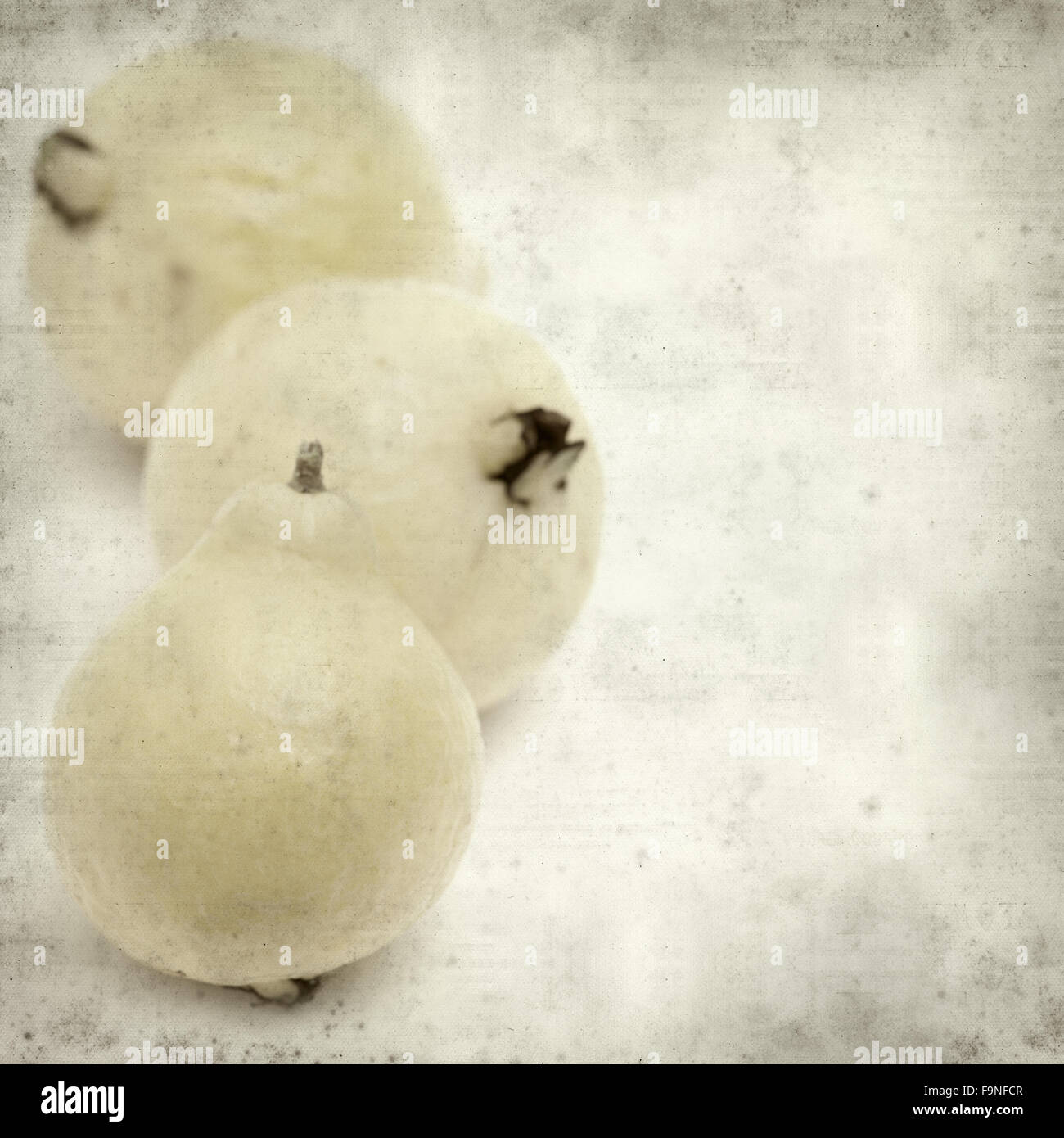 textured old paper background with white guava fruit Stock Photo - Alamy