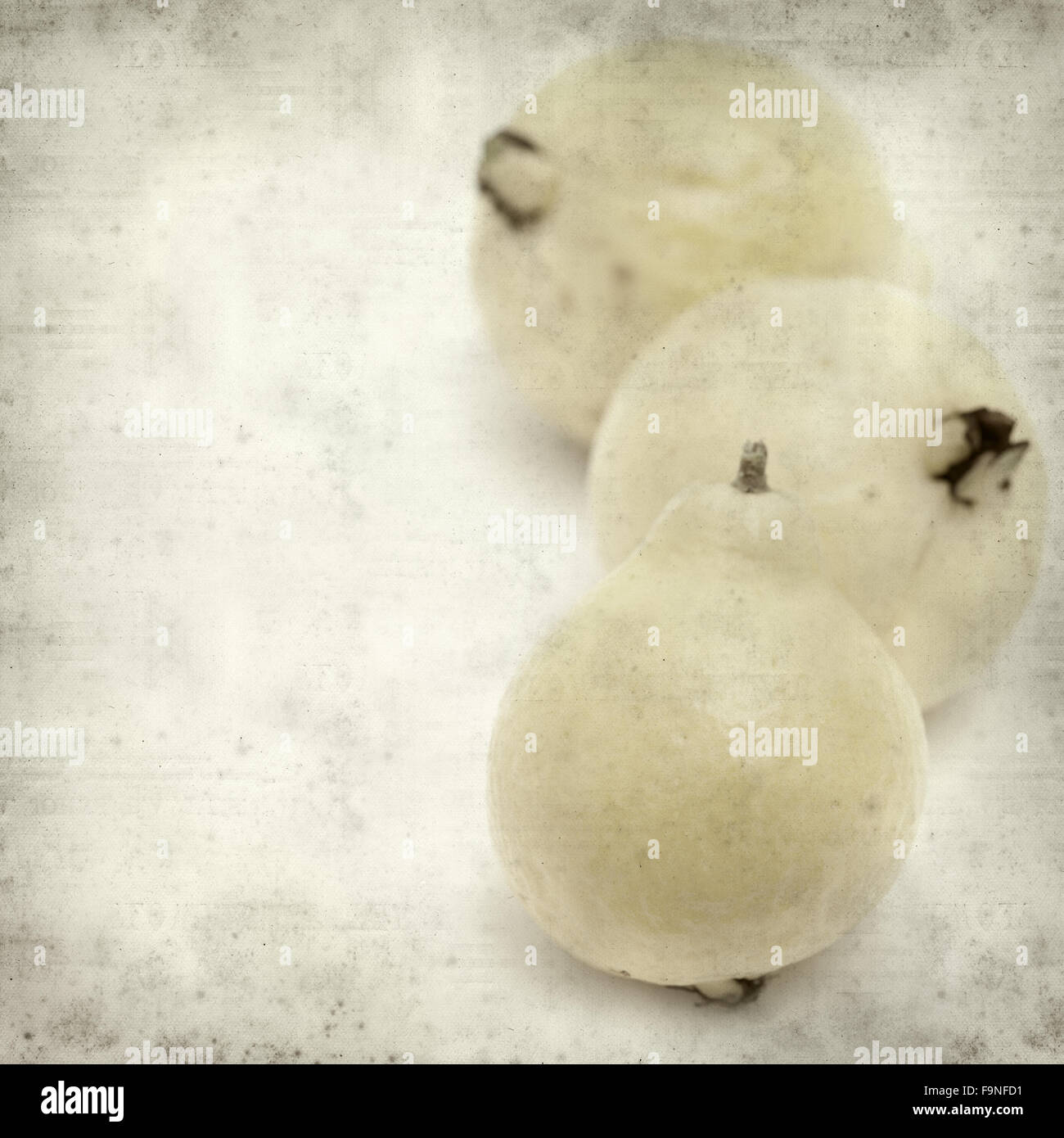textured old paper background with white guava fruit Stock Photo - Alamy
