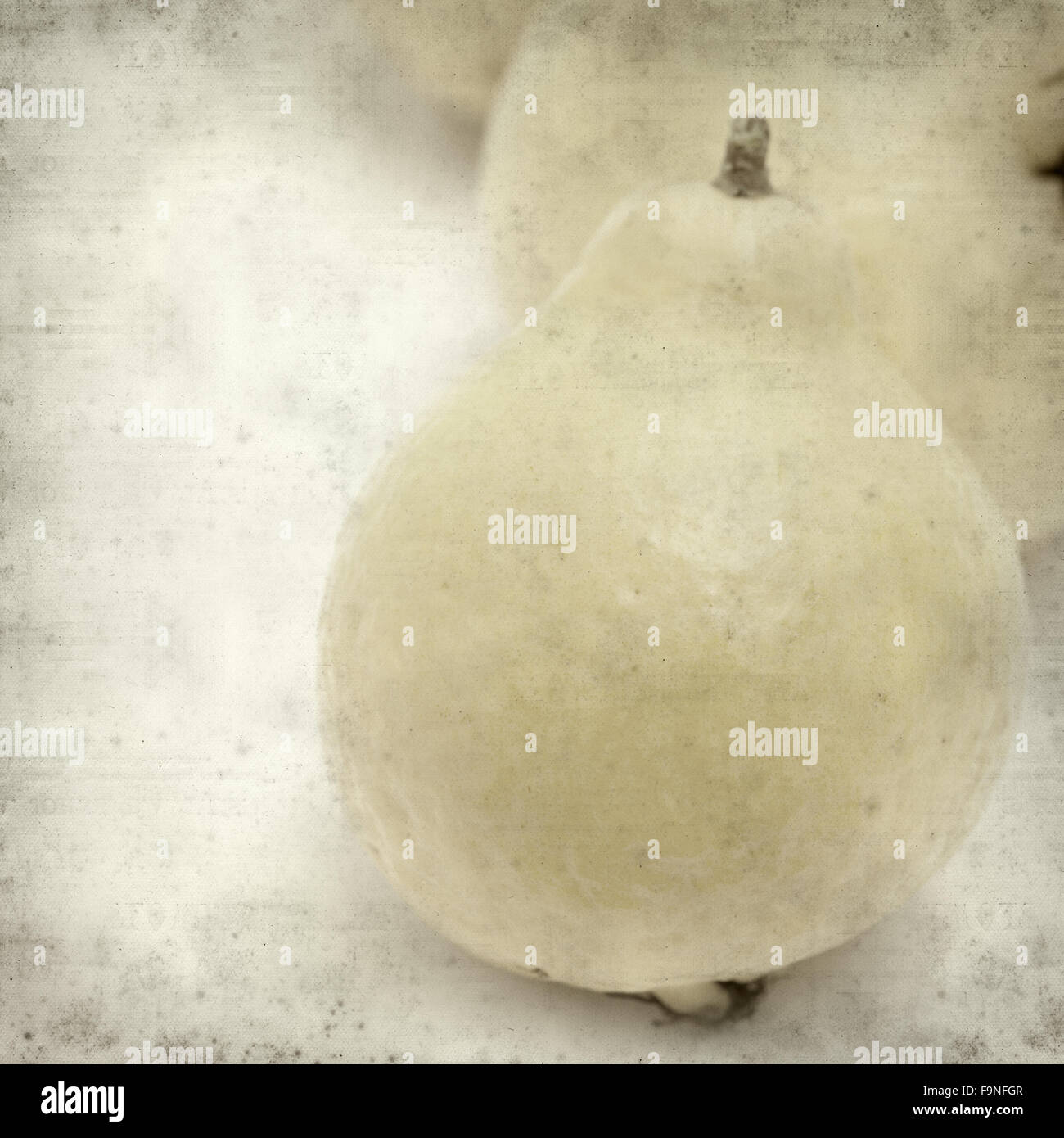 textured old paper background with white guava fruit Stock Photo - Alamy