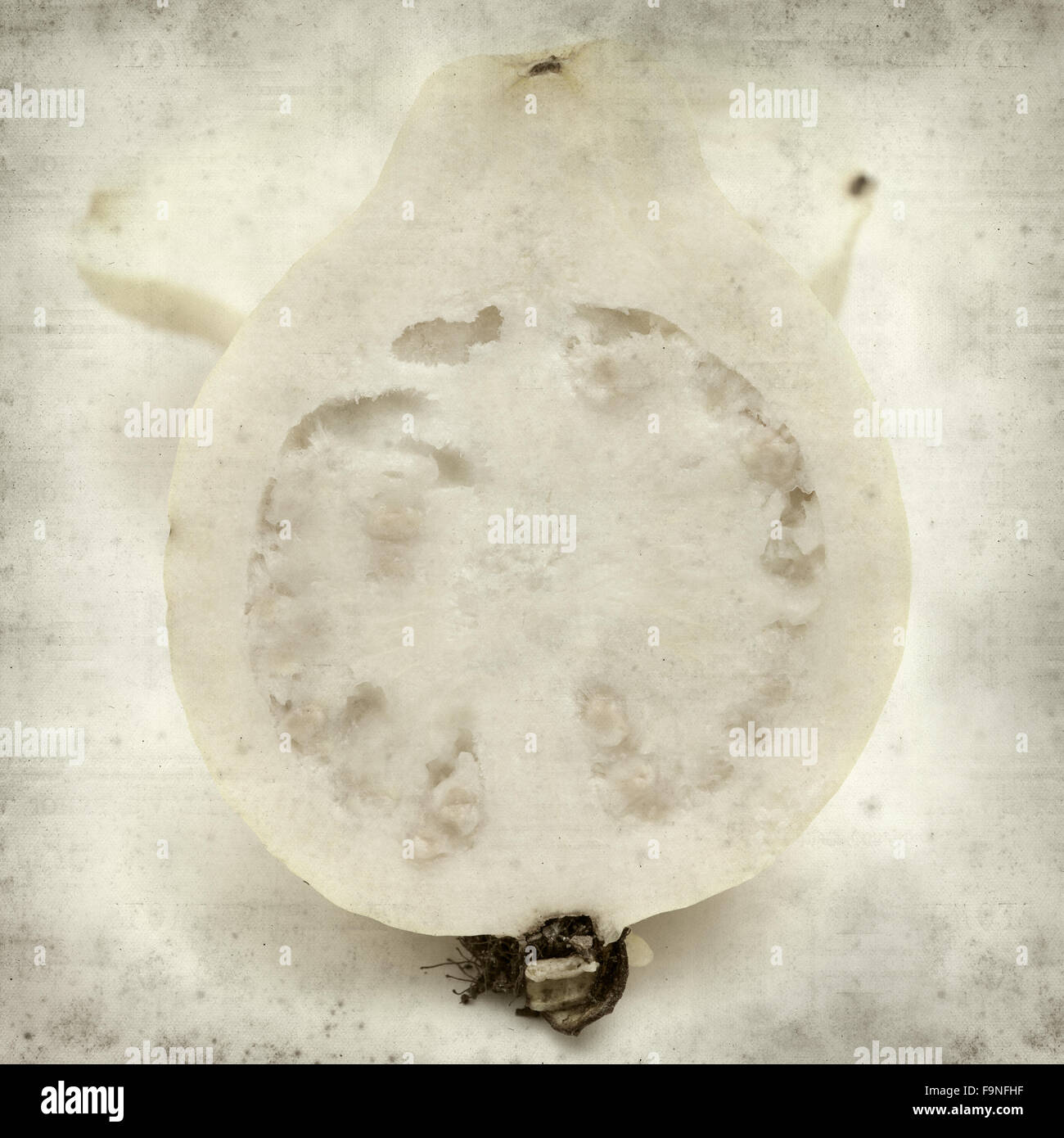 textured old paper background with white guava fruit Stock Photo - Alamy