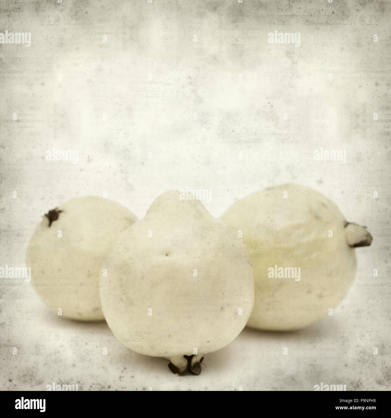 textured old paper background with white guava fruit Stock Photo - Alamy