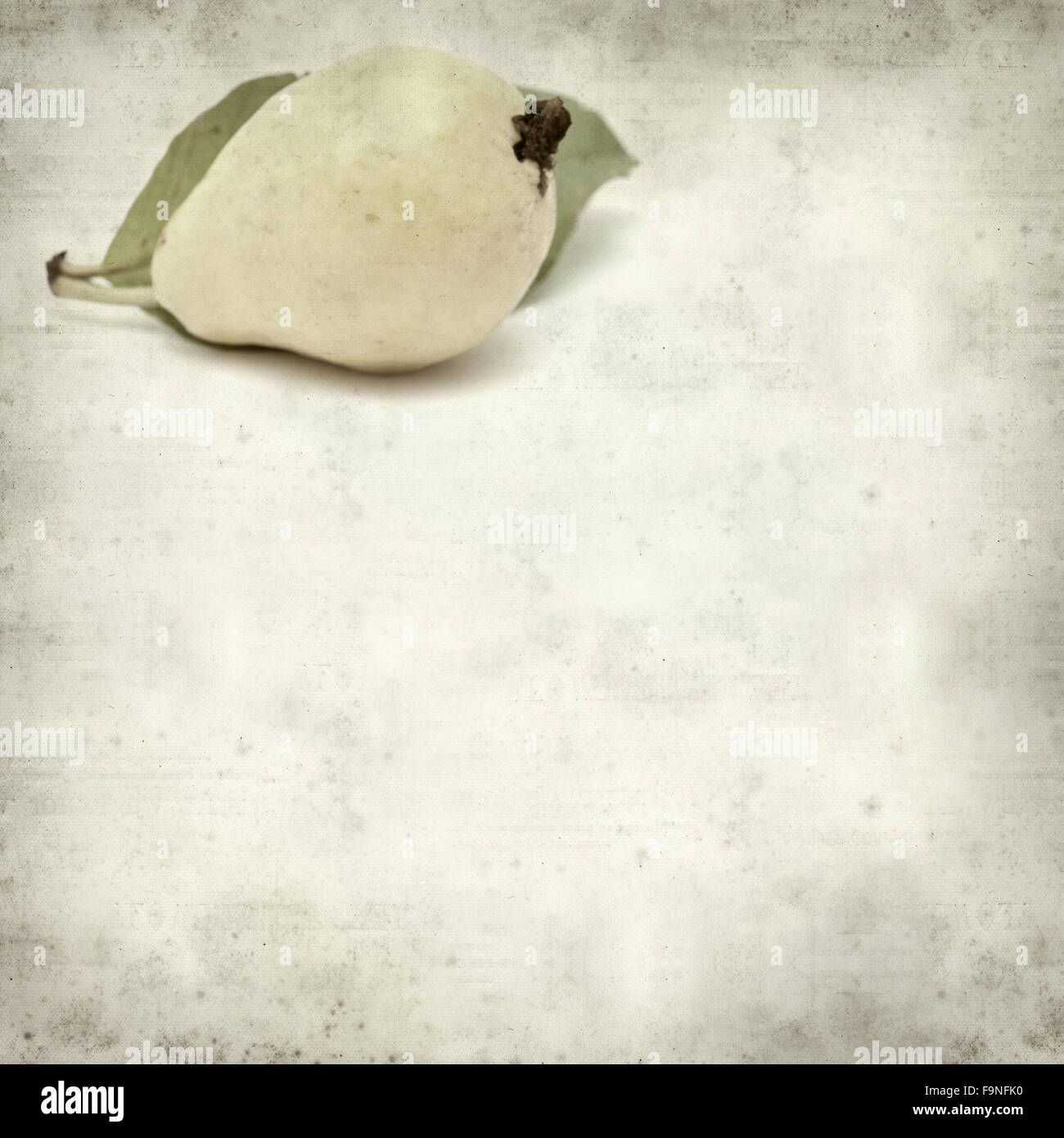 textured old paper background with white guava fruit Stock Photo - Alamy