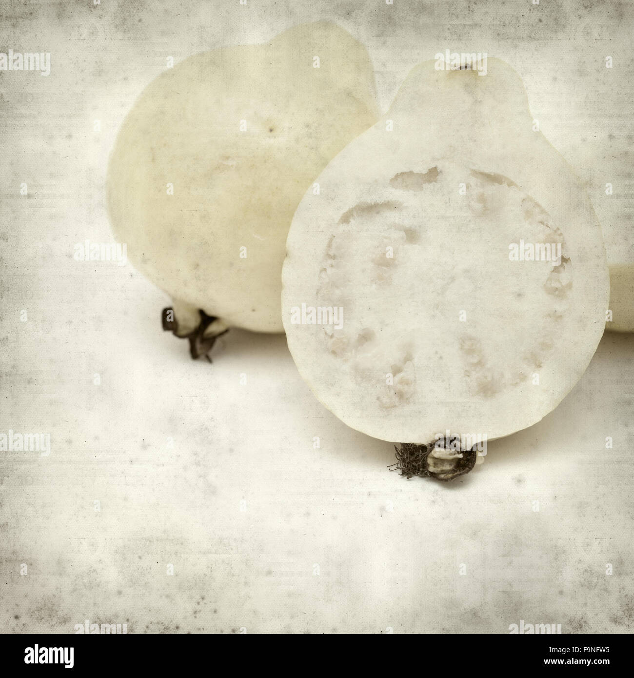 textured old paper background with white guava fruit Stock Photo - Alamy