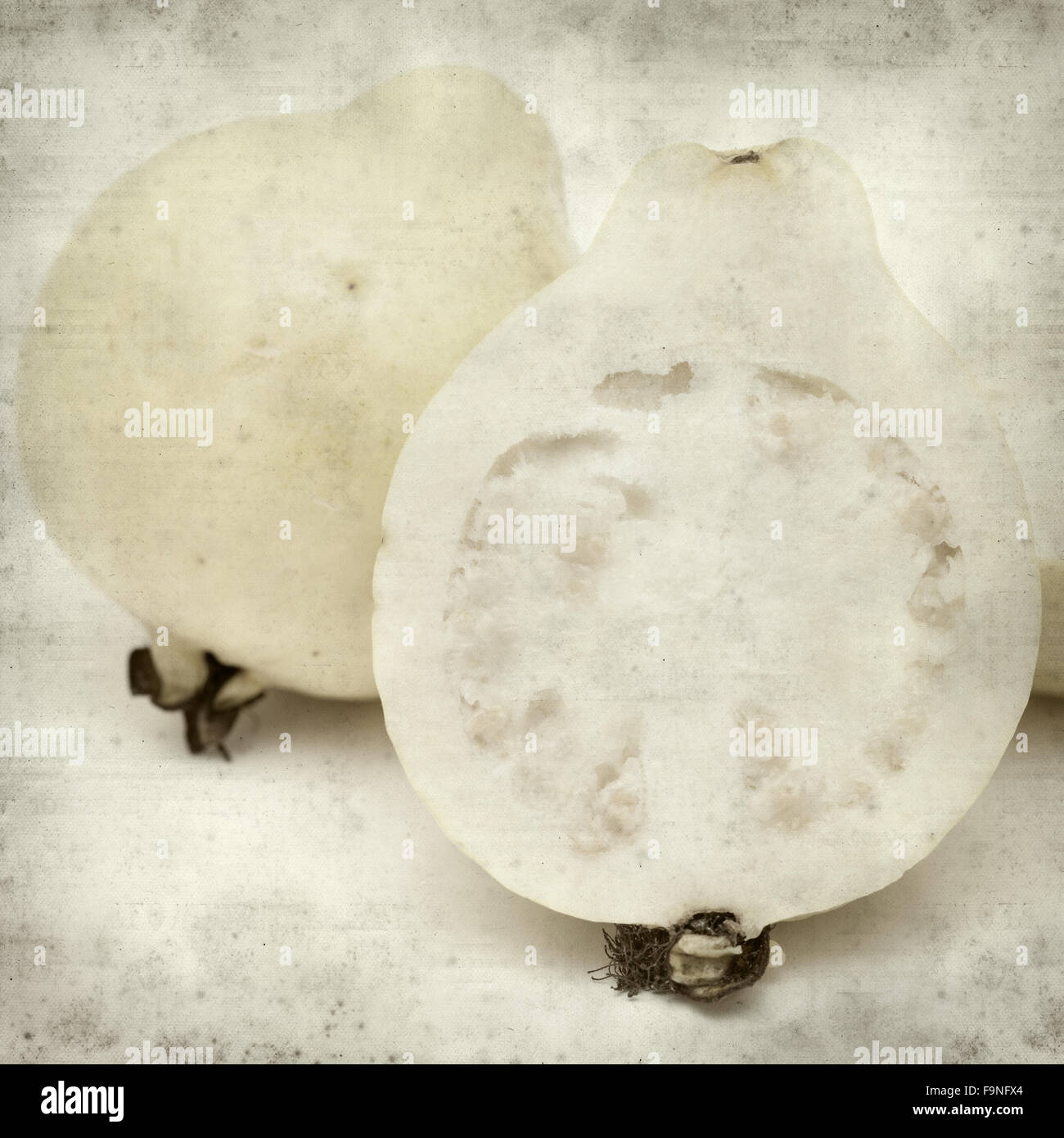 textured old paper background with white guava fruit Stock Photo - Alamy
