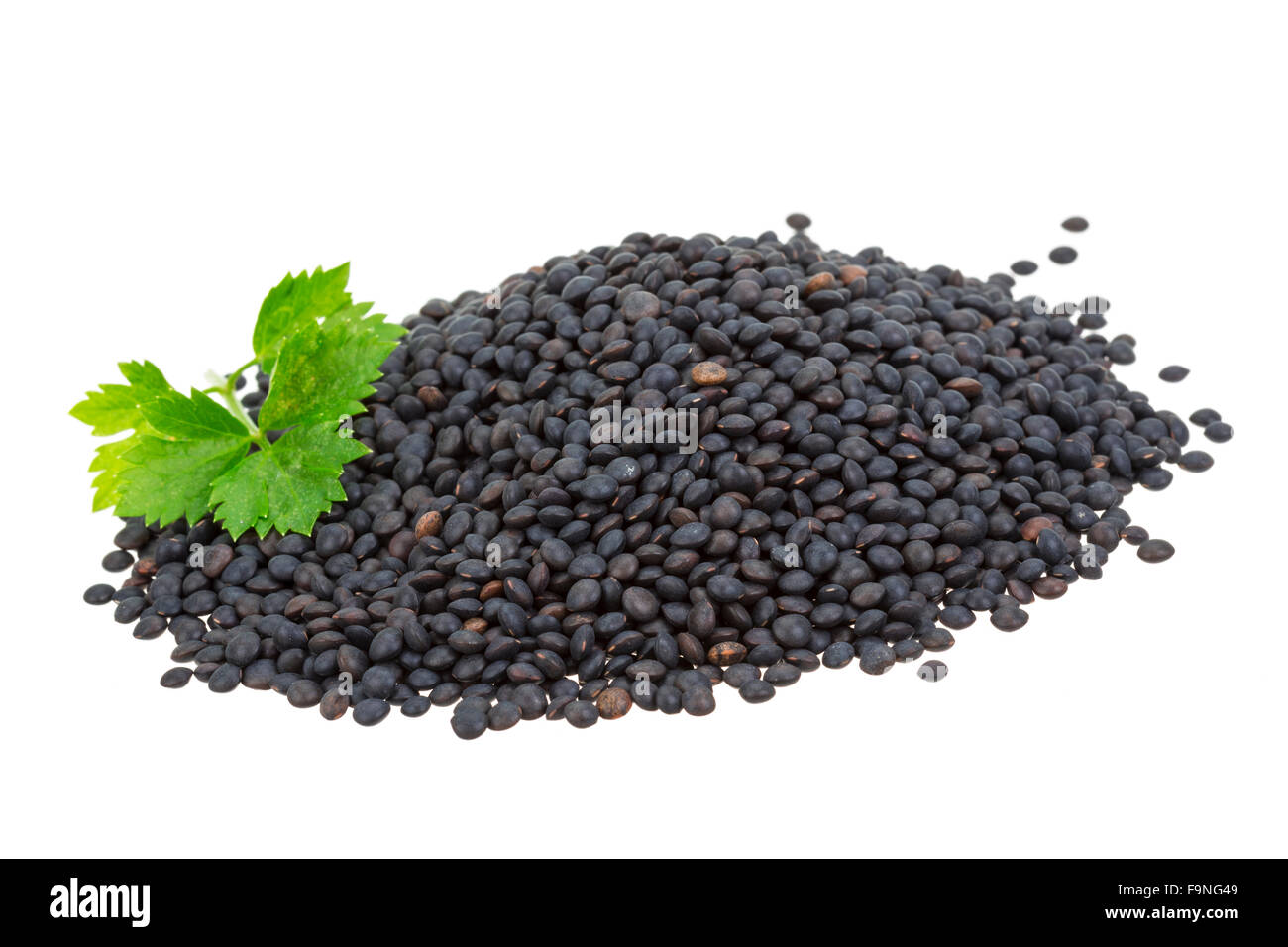 Black lentils isolated Stock Photo - Alamy