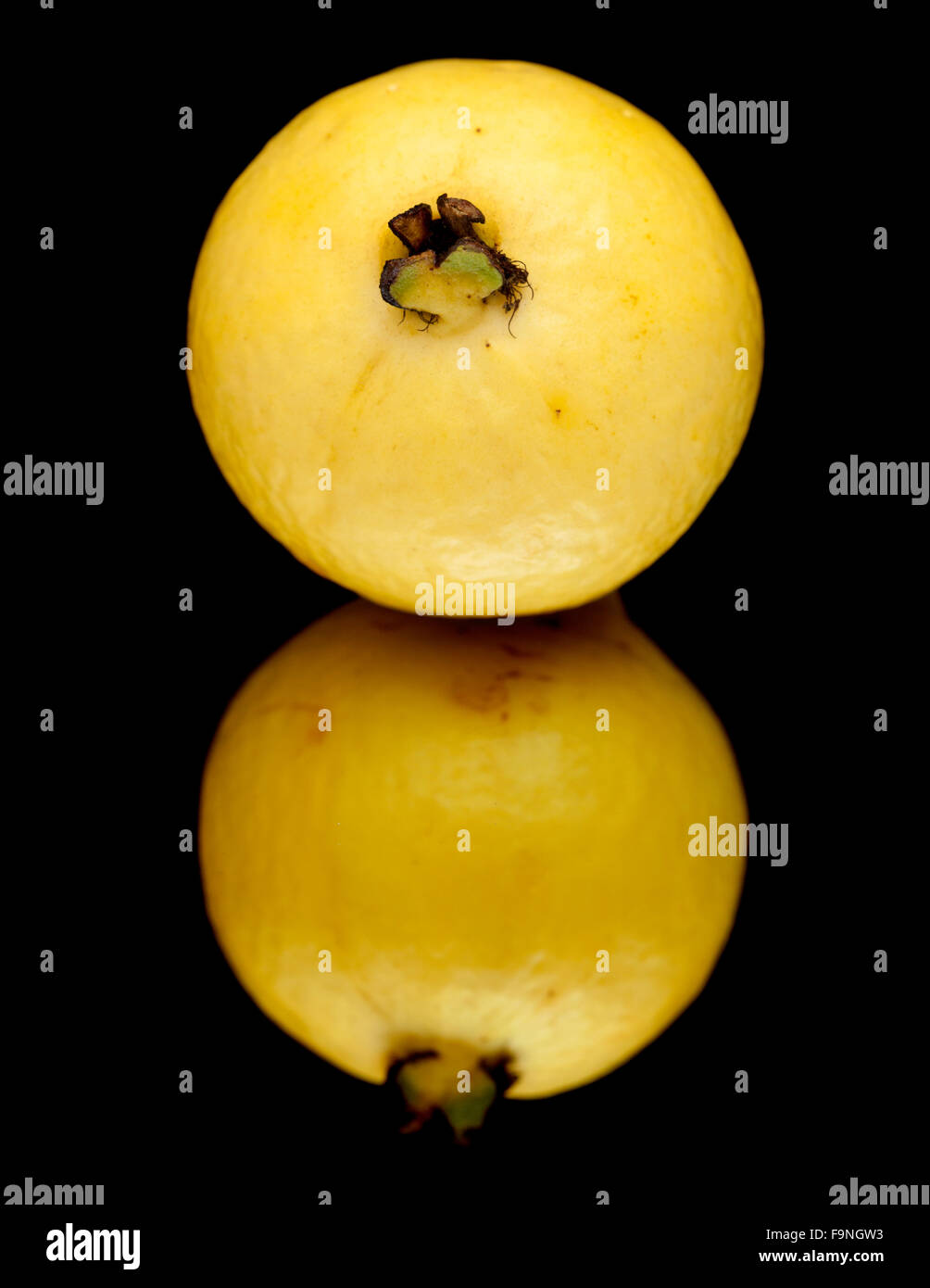 yellow guava fruit isolated on white background Stock Photo - Alamy