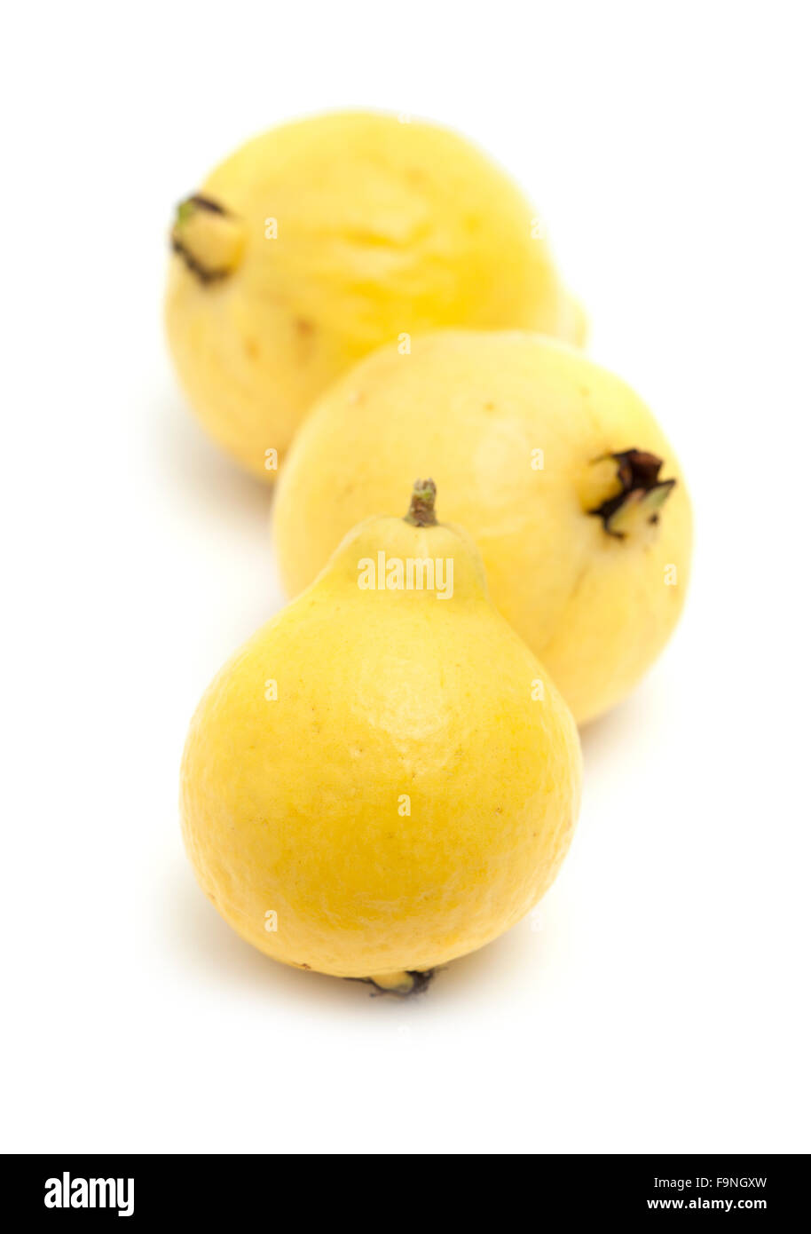 yellow guava fruit isolated on white background Stock Photo - Alamy