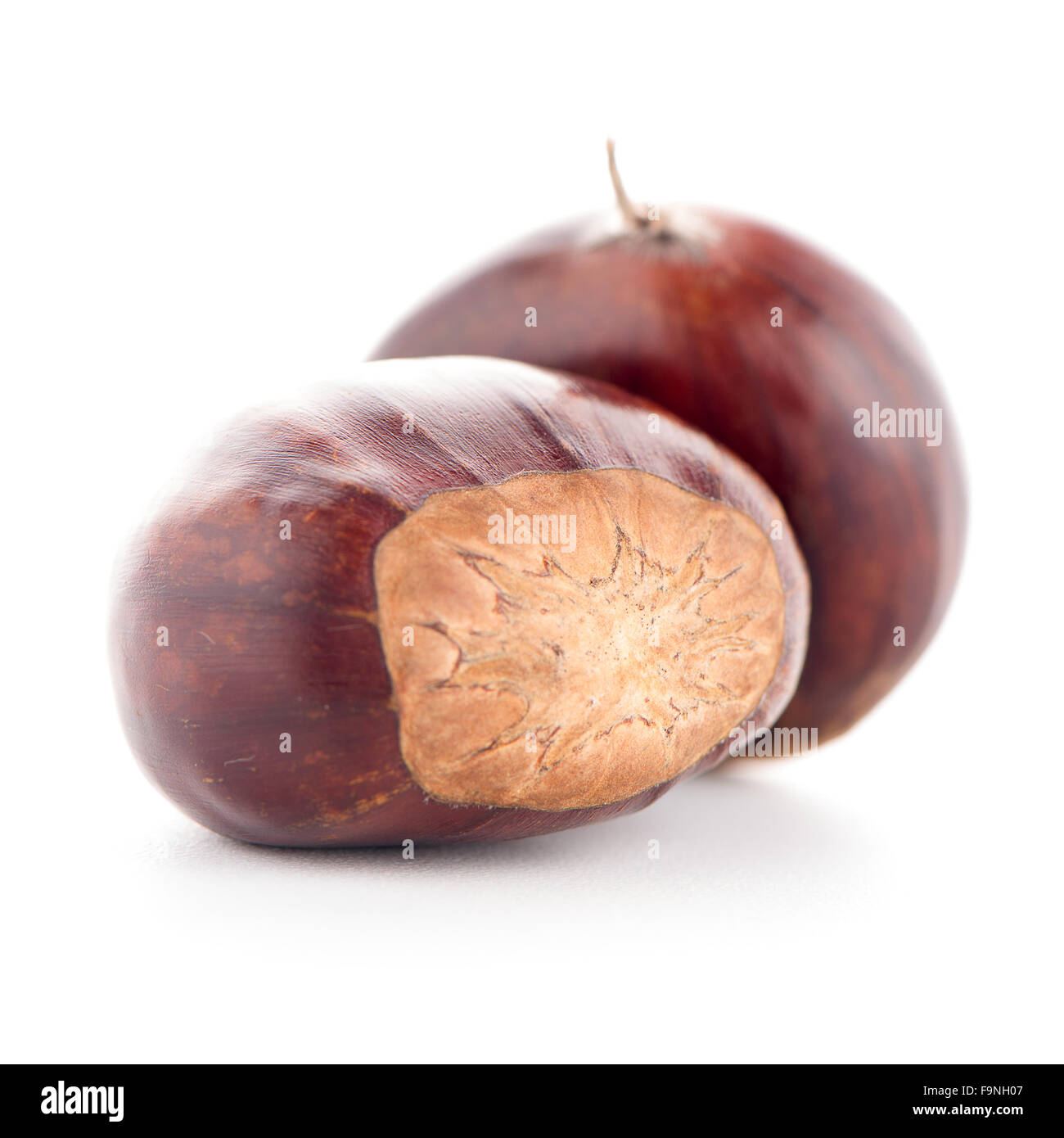 Chestnuts with shell isolated on white background Stock Photo - Alamy